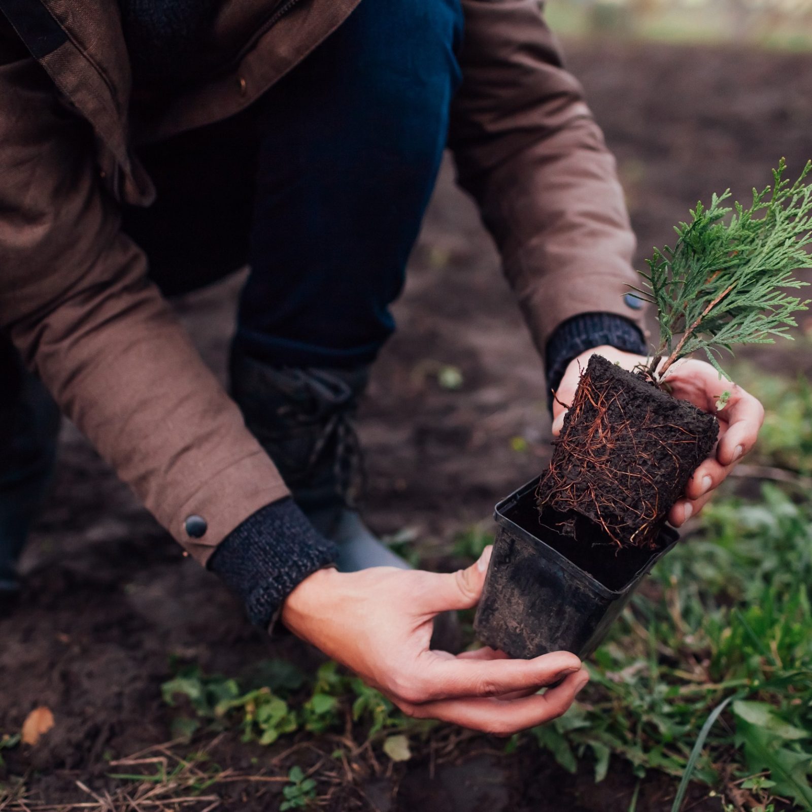 About - Genetic Potential Products